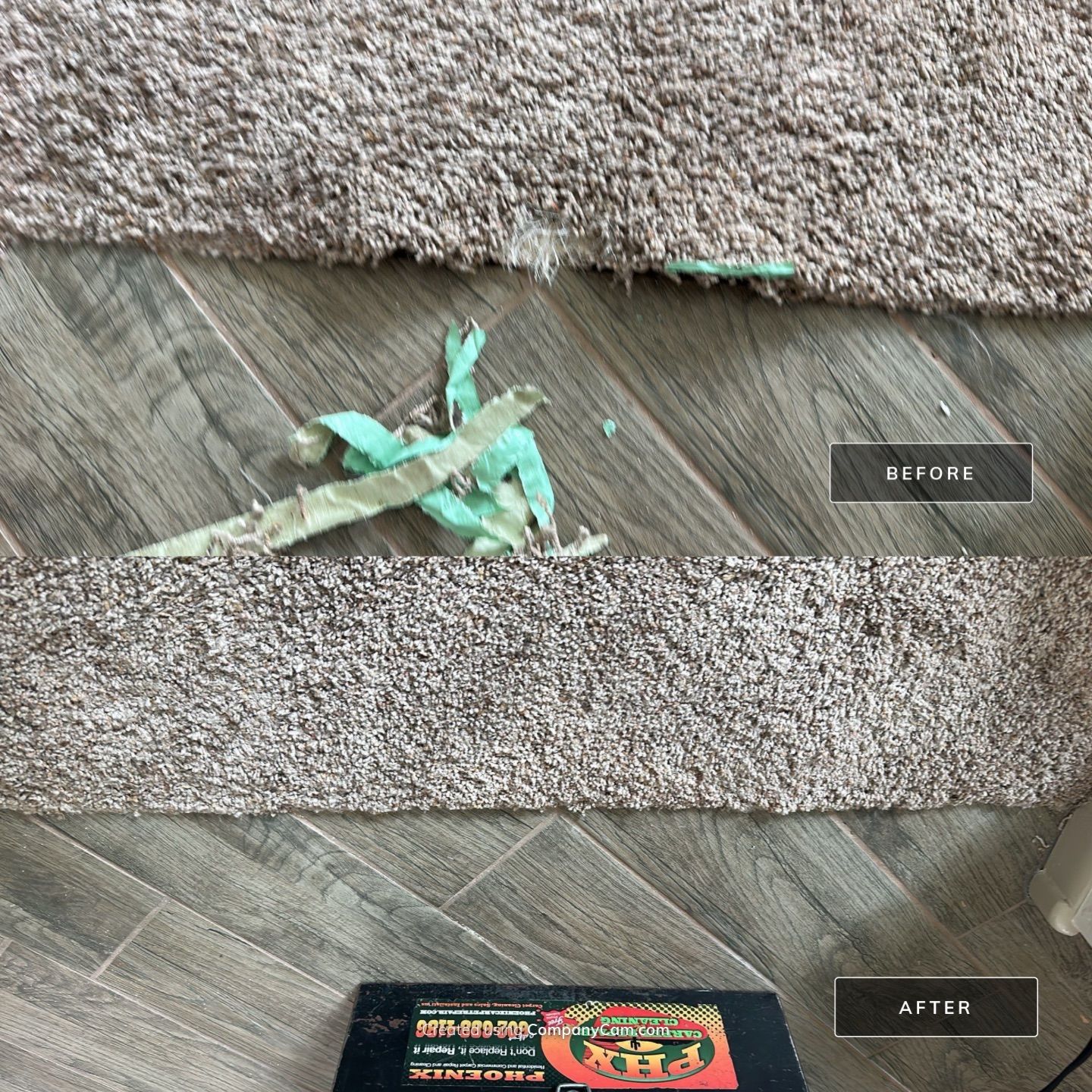 Carpet Damage from Dogs Chewing Prompts Phoenix Homeowners to Call ...