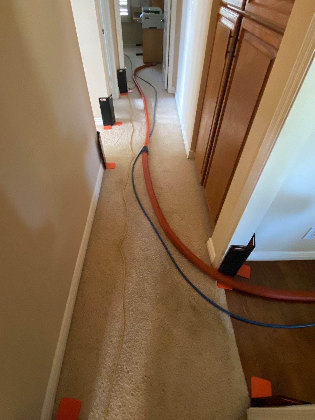 The Unseen Heroes of Carpet Cleaning - Corner Guards - Phoenix Carpet ...
