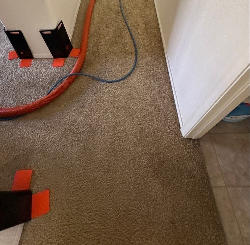 Preserving Your Property: The Importance of Corner Guards in Carpet ...